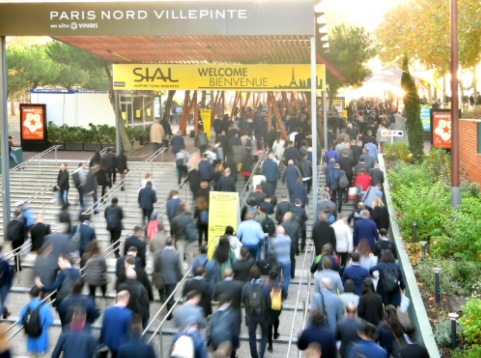 Chile Prunes Association – Exportación de Ciruelas Deshidratadas